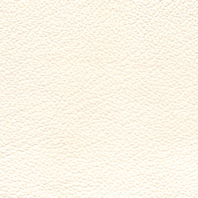 Off White Leather Texture